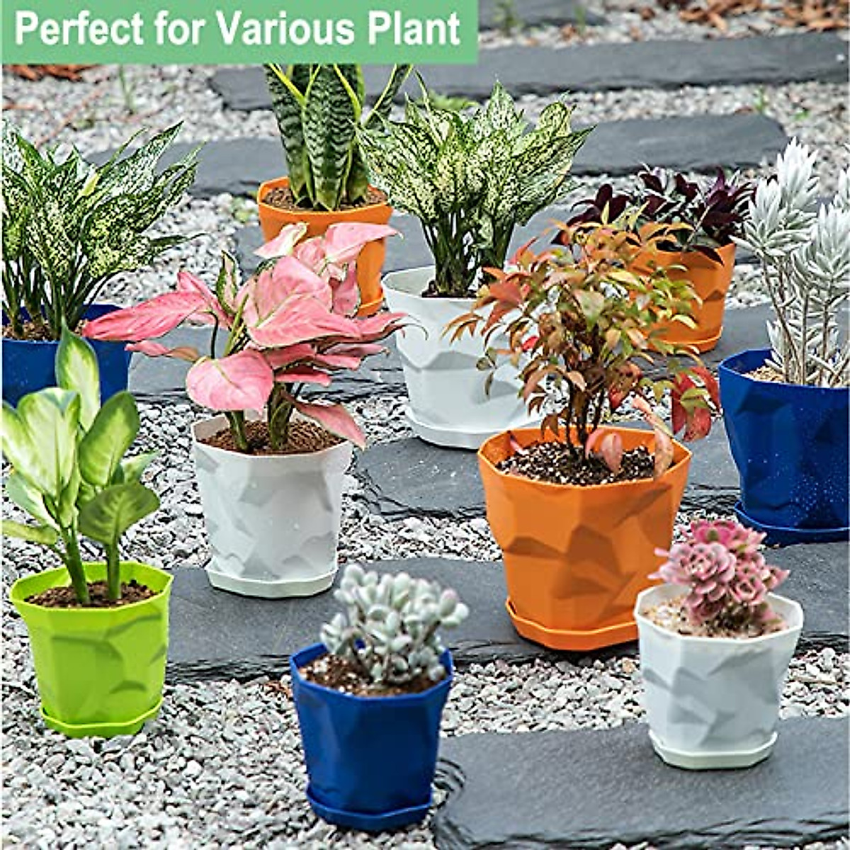 HBSGS Plant Pots Plastic Flower Pots Set with Drainage Holes and Saucers Planter for Indoor Plants Outdoor Plants and Flowers, Colorful