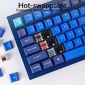 Keychron Q3 Wired Custom Mechanical Keyboard Knob Version, TKL Tenkeyless QMK/VIA Programmable Macro with Hot-swappable Gateron G Pro Red Switch Double Gasket Compatible with Mac Windows Linux (Blue)