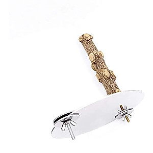 Bird Mirror with Perch Cockatiel Conure Parrot Mirror Toys Cage Perch Chewing Toys Feet Grinding Toys for Amazon Greys