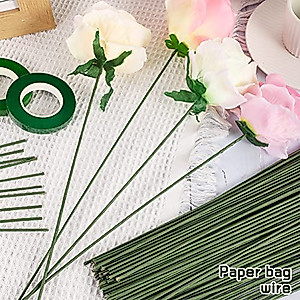60 Pack Floral Stems Wire for Paper Flower 2 Gauge Flower Stems for Crochet Projects 16 Inch Artificial Green Crafts Wire Wreath Making Supplies for Flower DIY