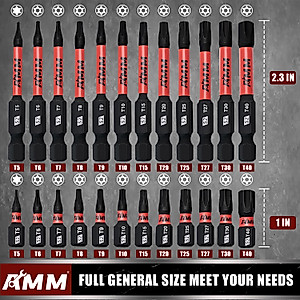 AMM 24-Piece Torx Bit Set, Security Star Bit Set, Tamper Resistant Star Bits Set, S2 Alloy Steel, 1" and 2.3" Long Impact Bits with Storage Box（T5-T40 ）