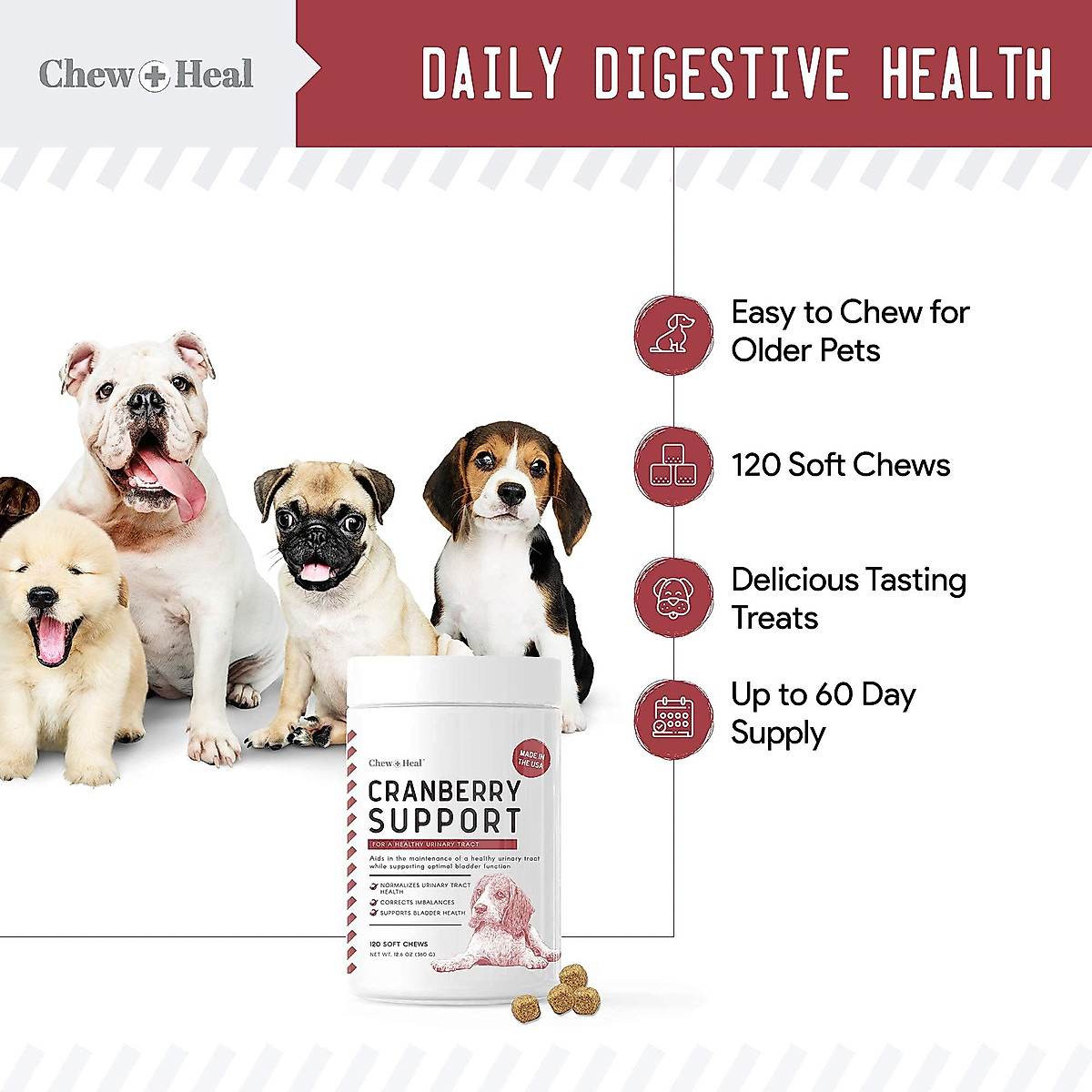 Digestive Enzymes and Probiotics and Cranberry UTI Support for Dogs - Supports Healthy Digestive Tract, Helps Nutrient Absorption - Healthy Urinary Tract and Bladder Function - 120 Soft Chews Each