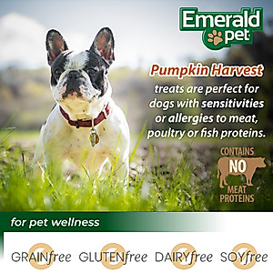 Emerald Pet Pumpkin Harvest Pumpkin Dog Treats — Low-Fat Chewy Natural Dog Treats with Pumpkin for Digestive Health — Meat Free, Poultry Free, Wheat Free Dog Treats — Apple, 6 oz