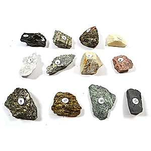 Eisco Metamorphic Rocks Kit - Contains 12 specimens Measuring Approx. 1" (3cm)