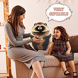 Dinyinor Cute Raccoon Plush Pillow ，Soft & Comfortable Stuffed Animal for Kids & Adults（Raccoon-12in）