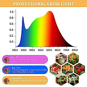 Juhefa Grow Light for Indoor Plants Growing, 4000K White Full Spectrum Halo Plant Lamp for Seedlings Succulents Small Mini Plants, Auto On Off Timer 4/8/12/18Hrs & 3 Colors Changeable