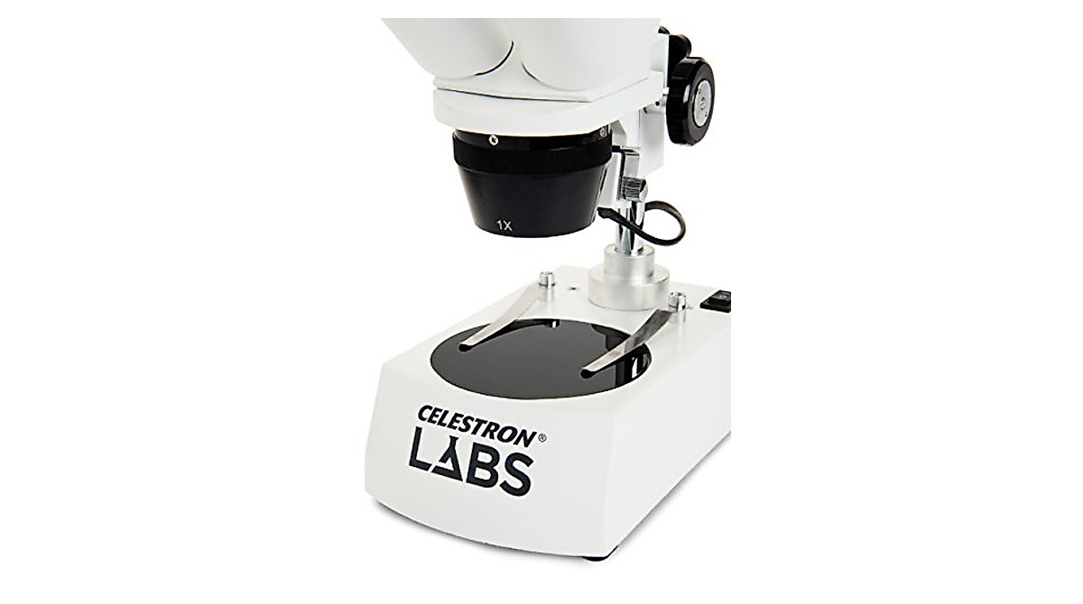 Celestron Stereo Microscope with 10-60x Magnification & Dual LED Lighting