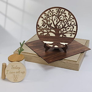 Vemkyrio 12 Pcs Walnut Unfinished Wood Craft, 3MM 1/8" x 12" x 12" Walnut Unfinished Plywood for Laser Cutting & Engraving, CNC Cutting, School DIY Projects