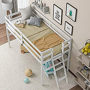 Tmosi Low Loft Bed Twin,Solid Wood Kids Twin Bed Frame with Ladders and Guard Rails,Space Saving Twin Size Loft Bed for Girl Boy,No Box Spring Needed,Easy to Assembly (White)