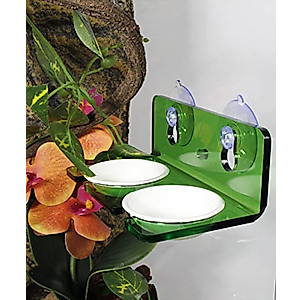 WOLEDOE Crested Gecko Feeding Ledge with 20Pcs 1oz Biodegradable Bowls, Reptile Food Cups and Water Dish