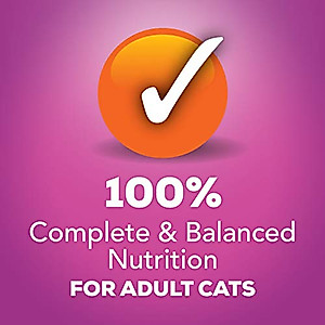 Purina Friskies Gravy Wet Cat Food Variety Pack, Poultry Shreds, Meaty Bits & Prime Filets - (32) 5.5 Oz. Cans