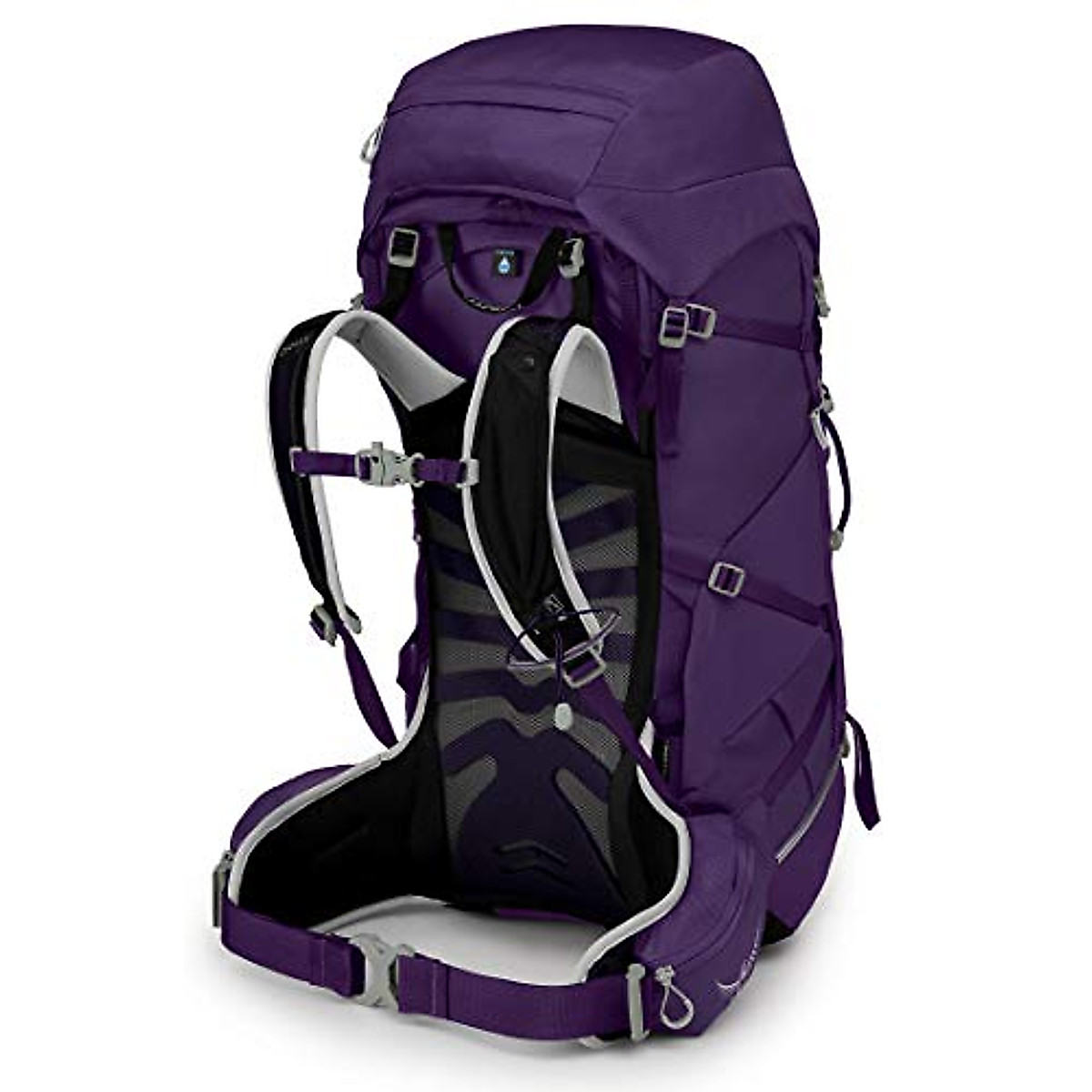 Osprey Women's Tempest Hiking Backpack, Multi, WXS/S