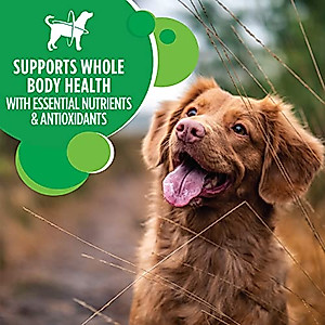 IAMS Proactive Health Adult Minichunks Dry Dog Food with Real Chicken, 15 lb. Bag