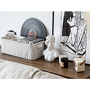 StorageWorks 2-Pack Narrow Storage Bins with 3-Pack Storage Baskets