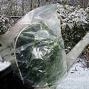 ANPHSIN 6 Pcs Winter Plant Film Cover with Drawstring- 35.4" x 59.1" Plastic Plant Cover Freeze Protection Transparent Waterproof Plant Shelter Bag for Outdoors Garden Plants Shrubs Sapling Crops