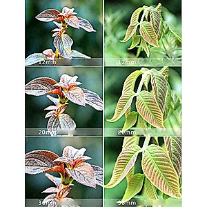 Mcoplus Extnp Auto Focus Macro Extension Tube Set (12mm 20mm 36mm) for Nikon AF AF-S DX FX SLR Cameras