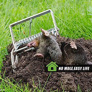 JUSTMYSPORT 2 Pack Mole Traps Steel Gopher for Lawn Outdoor Yard Kitchen Home Office House Farm use 2 Pieces