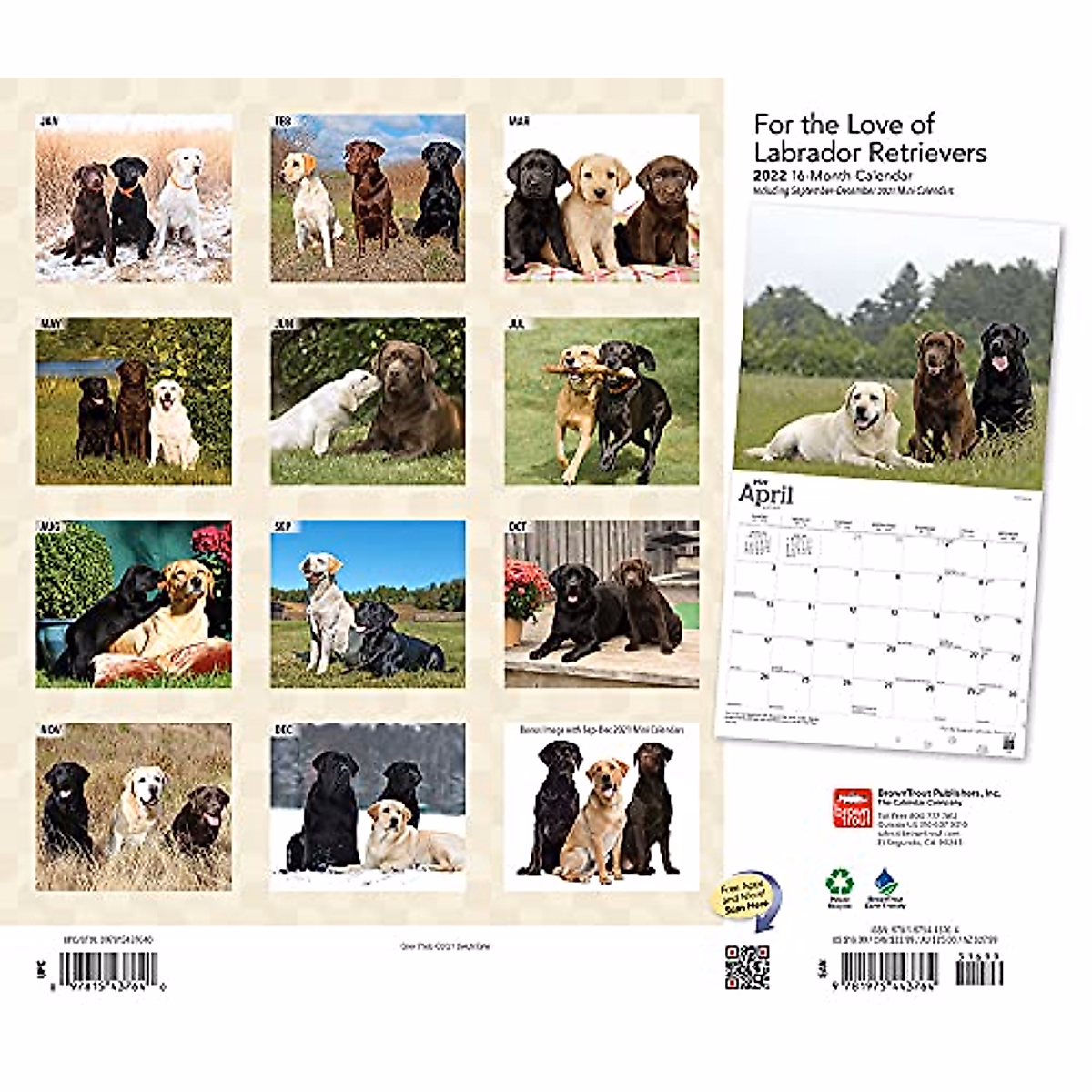 For the Love of Labrador Retrievers 2022 14 x 12 Inch Monthly Deluxe Wall Calendar with Foil Stamped Cover, Animal Dog Breeds DogDays