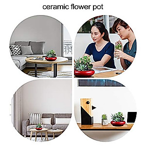 Funny Flower Pots Succulent Planters 1PC Retro Large Round Succulent Planter Pots Hydroponic Ceramic Vessel with Hole Bonsai Planter Bowl Plant Container Succulent Planter Bonsai Planter