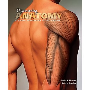 Discovering Anatomy