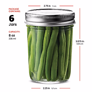 Paksh Novelty Glass Regular Mouth Mason Jars, 8 Oz Jars with Silver Metal Airtight Lids for Meal Prep, Dry Food Storage, Canning, Drinking, for Overnight Oats, Jelly, Spices, Salads, Yogurt (6 Pack)