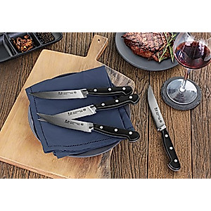 Cangshan V2 Series 1020373 German Steel Forged 4-Piece Steak Knife Set, 5-Inch Blade