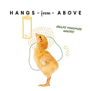 Manna Pro Chick Supplies Treat | Chick Brooder Chick Stick | Chicken Coop Accessories | Chick Starter Kit | 15 oz