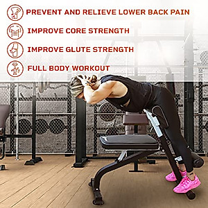 LifePro Multipurpose Roman Chair - Foldable Back Extension Bench & Ab Bench Workout Chair- Versatile At-Home Hyperextension Bench & Ab Chair for Whole-Body Training (Grey)