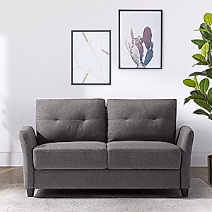 ZINUS Ricardo Loveseat Sofa / Tufted Cushions / Easy, Tool-Free Assembly, Dark Grey