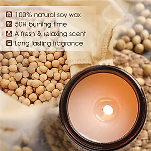 Happy Birthday Gifts Candle for Friend Funny Gift Candle for Men Women Partner BFF Coworker (Friend-BR)