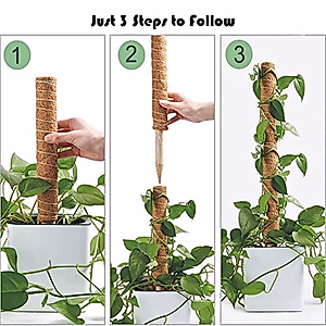 Moss Pole for Plants 90 inches Pack of 6 - Moss Pole for Climbing Plants Monstera 16.5 and 11.8 inches - Totem Pole Plant Supports with Gardening Accessories - Plant Poles for Potted Plants Indoor