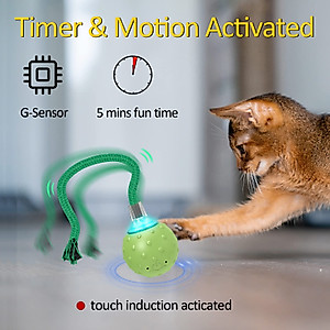Interactive Cat Toys for Bored Indoor Adult Cats, Automatic Fast Move On Carpet, Bird Chirping & Motion Activated Cat Ball