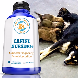 Healthy Animals 4Ever Supports Pregnancy, Boosts Lactation May Prevent Potential Pregnancy & Nursing Issues Safe, Caring, Natural Support Solution Fast Acting Formula Guarantee
