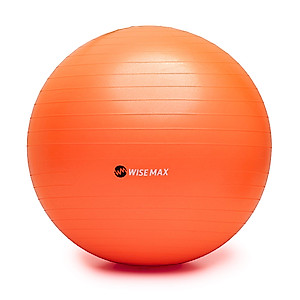 WISEMAX Exercise Ball Chair – Stability Yoga Balance Ball with Ring Base, Resistance Bands & Pump, Loop Bands, Carry Bag, Poster for Home, Office, Posture, Gym Bundle, Home Workout- 65cm