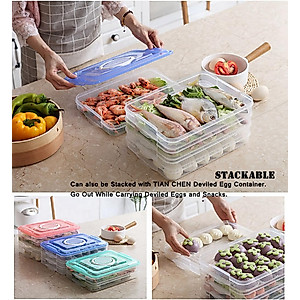 TIAN CHEN Refrigerator Organizer Bins, Plastic Food Storage Containers with Lids, 3-Layer, BPA free, Stackable Food Organizer Keeper for Snack, Vegetables, Meat, Fish (Transparent)