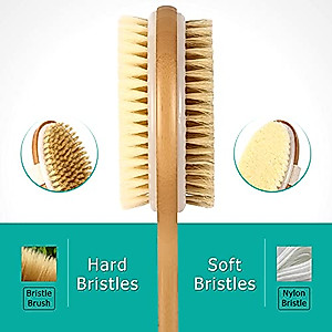 Gunoze Shower Brush Set, Dual-Sided Long Handle Back Scrubber with Soft and Stiff Bristles, and 2 Pack Dry Brushing Body Brush for Wet or Dry Brushing, Shower Body Exfoliating for Radiant Skin