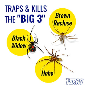 Terro T3206 Spider & Insect Trap, 4 Count (Pack of 1)
