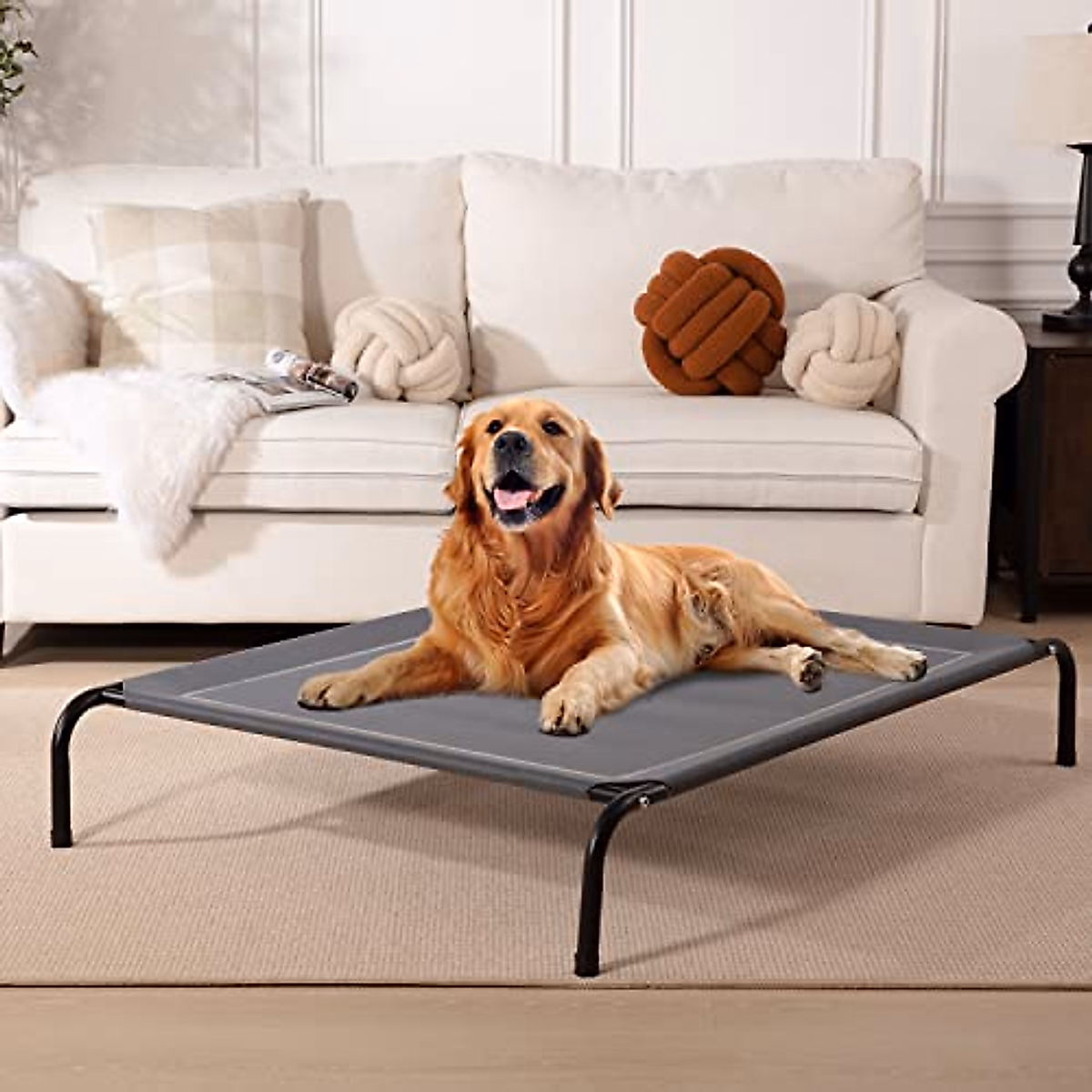 Eterish Elevated Bed for Small, Medium, Large Dogs and Pets, Raised Bed with Durable Frame and Mesh, Dog Cot with Rubber Feet for Indoor and Outdoor Use, Black