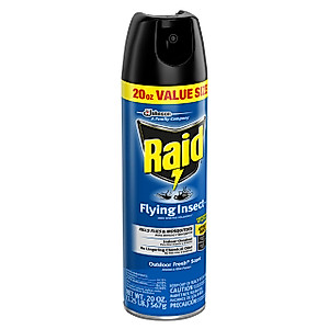 Raid Flying Insect Killer Lawn and Garden 20 Ounce (Pack of 2)