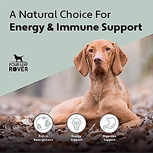 Four Leaf Rover: Turkey Tail Mushroom Extract - Critical Immune Support and Prebiotic for Dogs - 15 to 120 Day Supply, Depending on Dog’s Weight - Rich in Beta-Glucans - Vet Formulated