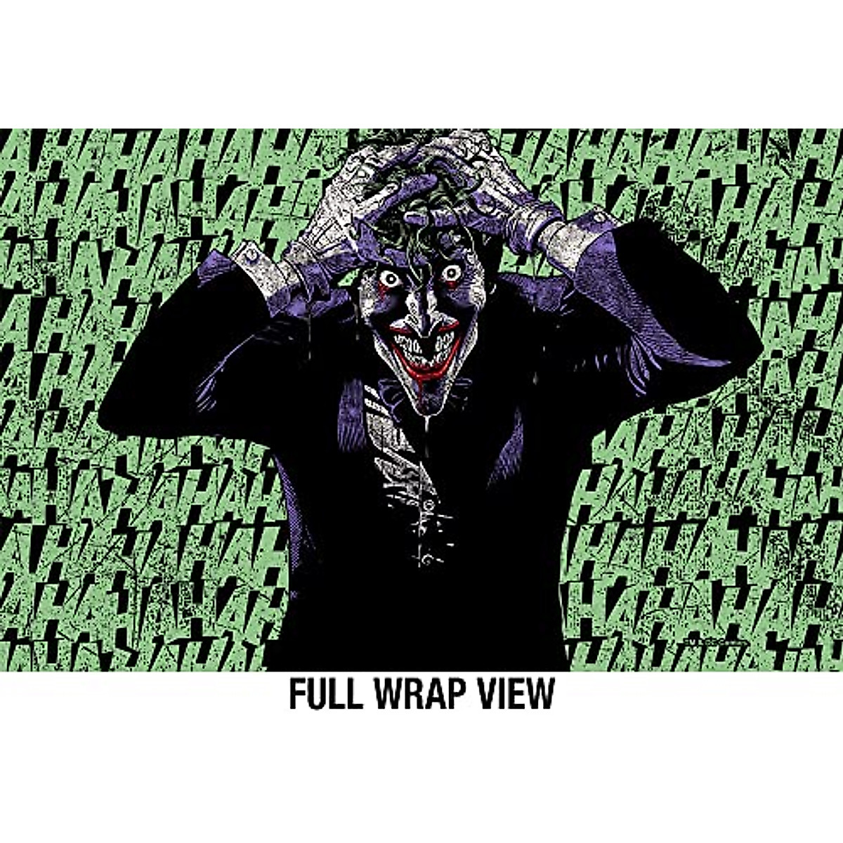 Batman - Joker OFFICIAL Insanity 18 oz Insulated Water Bottle, Leak Resistant, Vacuum Insulated Stainless Steel with 2-in-1 Loop Cap