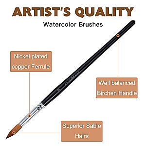 Sable Watercolor Brushes Professional, Fuumuui 8Pcs Kolinsky Sable Brush Set Variety Shapes with Flat, Round Pointed, Cat's Tongue Oval Wash Perfect for Watercolor Acrylic Gouache Inks Painting