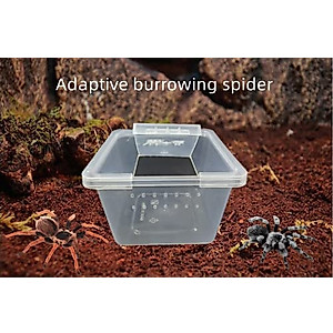 5 Pcs Acrylic Transparent Insect Reptile Spider Terrariums Breeding Box Hatching Container,Large Size(10cm x10cm x6.5cm)