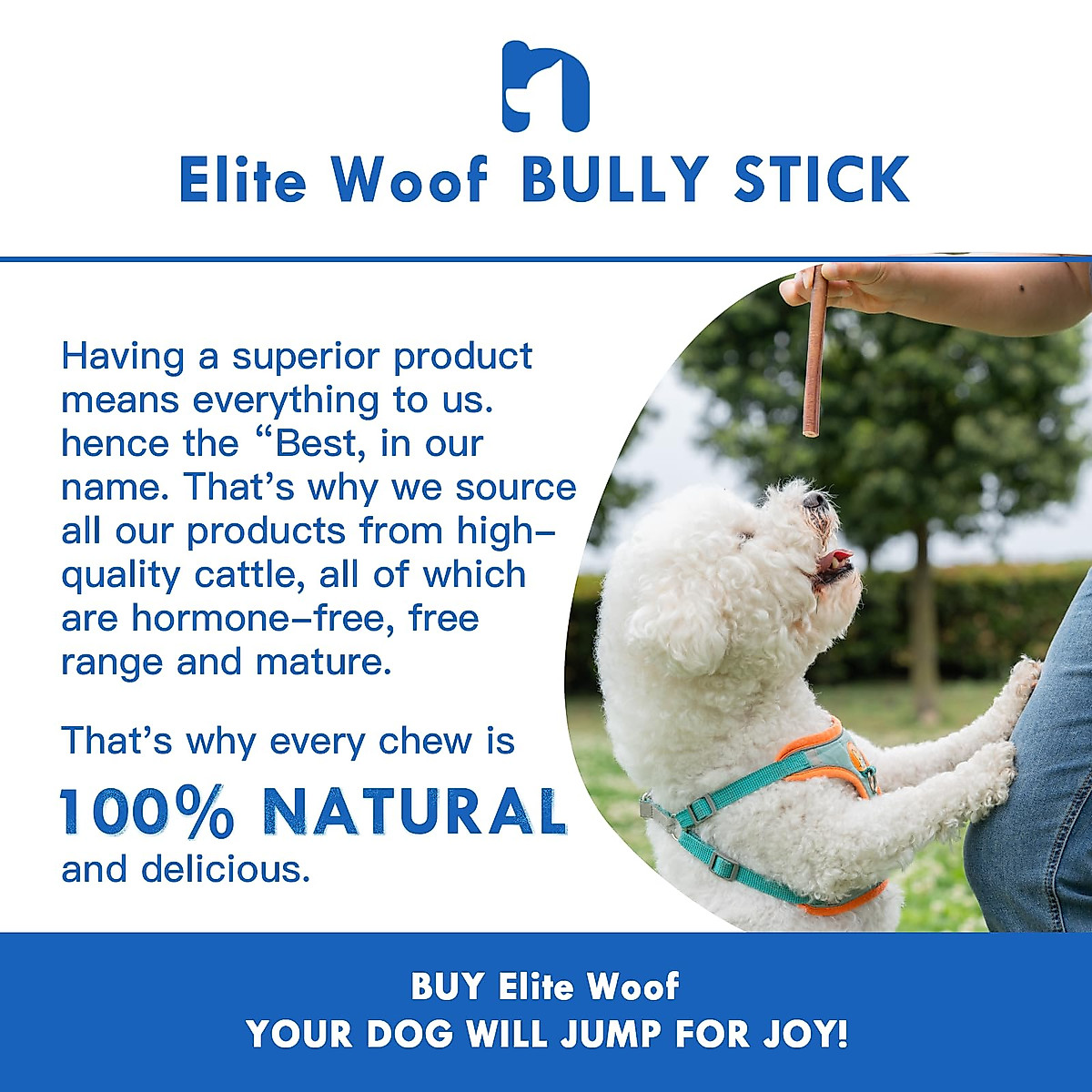 Elite Woof Bully Sticks for Dogs Puppies - 6 Inch Standard 100% Natural Dog Treats, Grass-fed Beef Dog Chews, Grain-Free, High Protein, Long-Lasting Pet Food for All Dog Breeds (6 Pack)