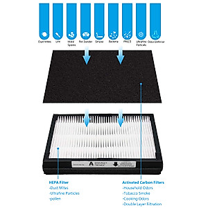 IAF-H-100A True HEPA Idylis A Replacement Filter, Compatible with FAP-C01-A, Idylis Air Purifiers AC-2119, IAP-10-100, IAP-10-150, IAPC-40-140, Part # 1150096, 2 HEPA + 2 Carbon Pre-filters