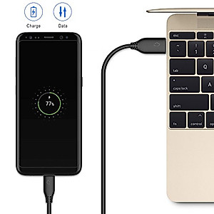 Rankie USB-C to USB-A 3.0 Cable, Type C Charging and Data Transfer, 3 Feet