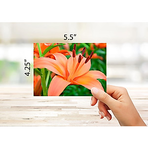 Small World Greetings Spring Flowers Notecards 24 Count - Blank Inside with Envelopes - A2 Size 5.5" x 4.25" - Floral Stationery - All Occasion Birthday, Thank You, and More