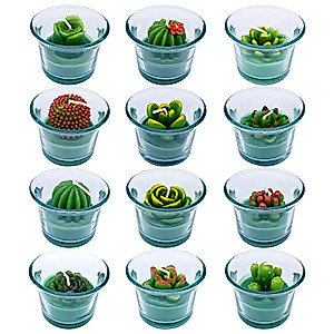 Amusaer Succulent Cactus Tealight Candles in Glass 12 Set Bulk Small Soy Wax Candles for Wedding, Party Favors, Baby Shower, Bridal Shower Green