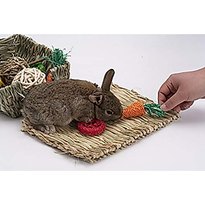 PStarDMoon Bunny Grass Bed-Hand Made Edible Natural Grass Hideaway Comfortable Playhouse for Rabbits, Guinea Pigs and Small Animals to Play,Sleep and Eat(style1)