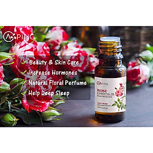 Rose & Vanilla Essential Oils - 100% Pure Organic Natural Plant Oils for Diffuser, Aroma, Spa, Massage, Yoga, Perfume, 2x10ML